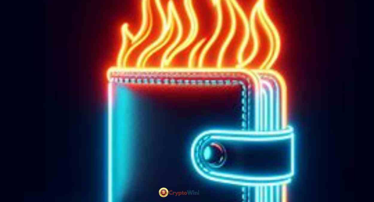 Hot Wallets for Cryptocurrency: A Complete Guide to Usage, Safety, and ...